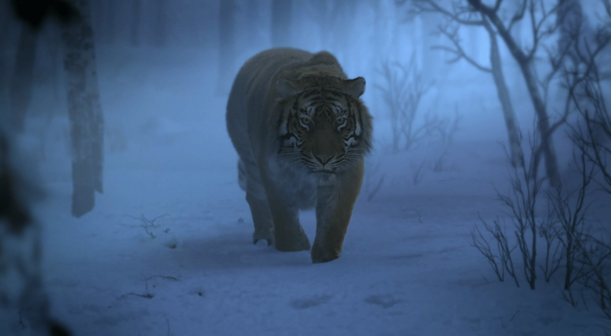 The Taking of Tiger Mountain – The Asian Cinema Critic