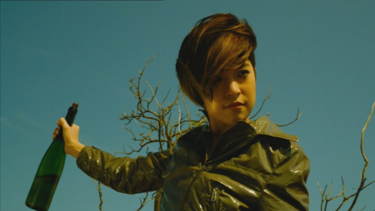 Raging Phoenix – The Asian Cinema Critic