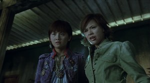 The Twins Effect – The Asian Cinema Critic